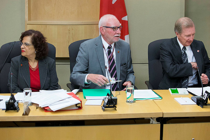 Future of Senate rests in our hands, says Senator Greene - The Hill Times