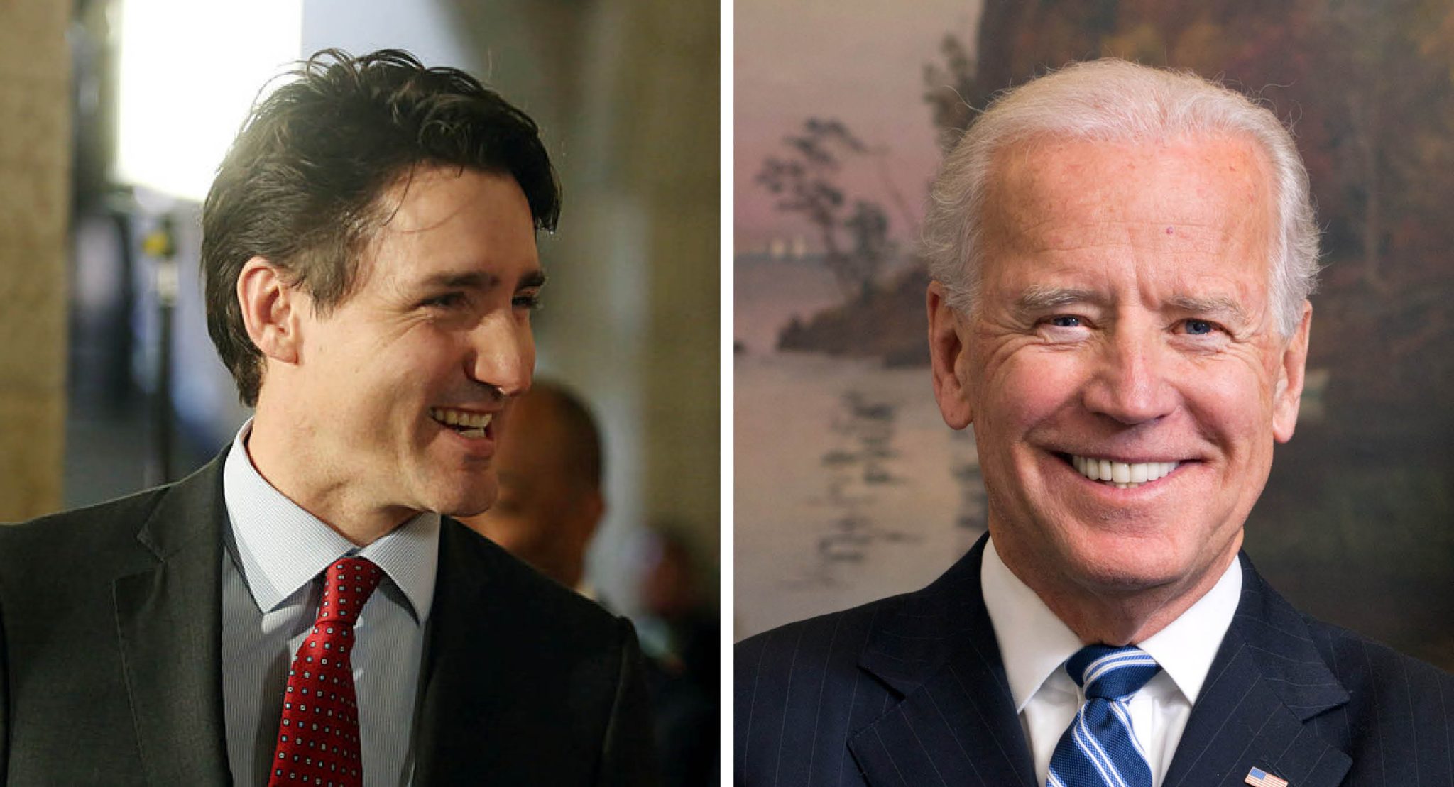 Warren Kinsella - The Hill Times