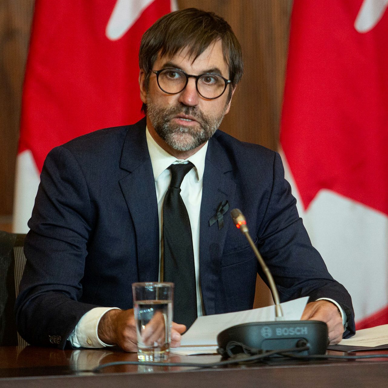 Once dubbed 'Green Jesus,' Guilbeault’s activist past could help, or ...