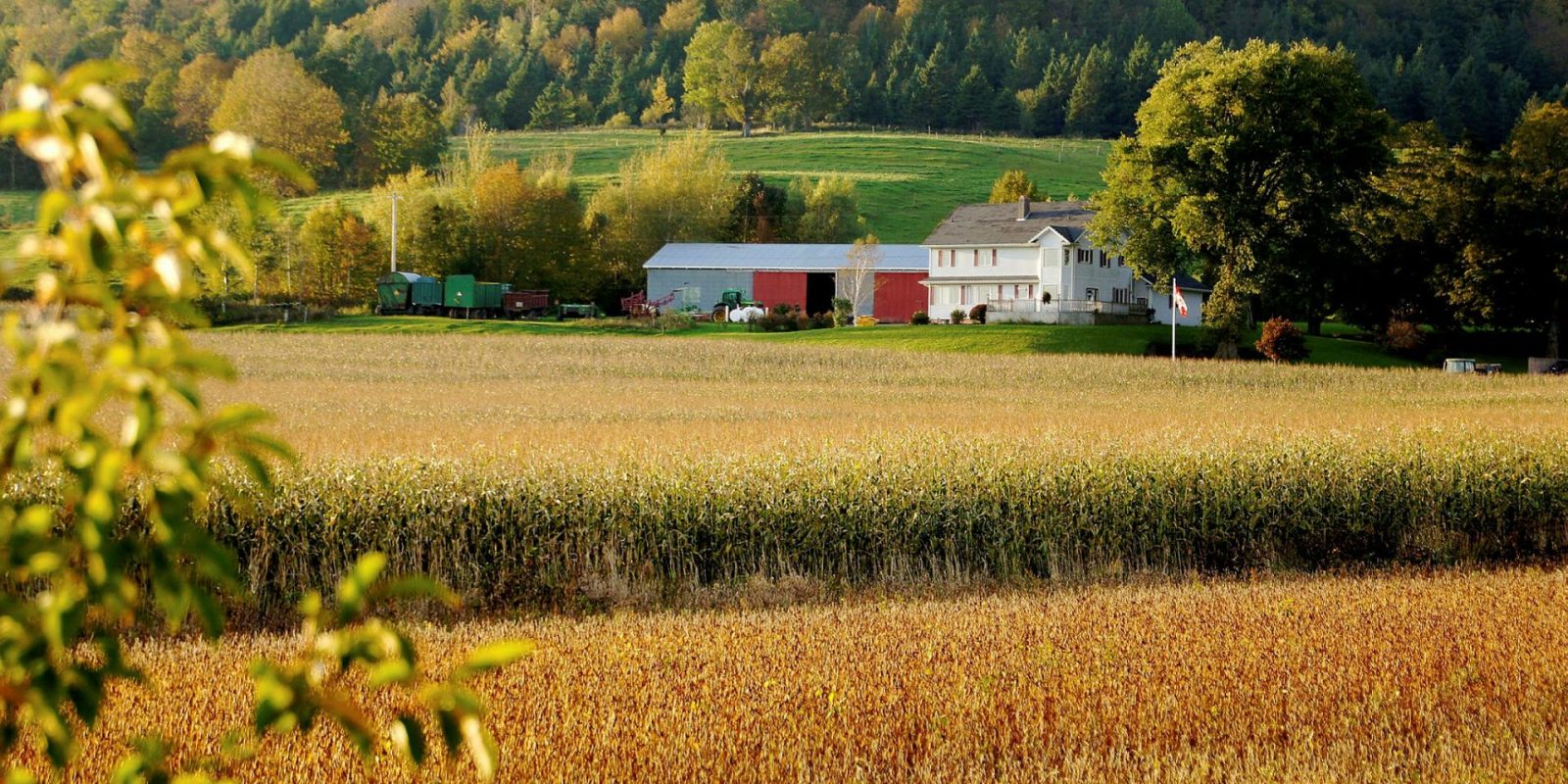 Challenges facing Nova Scotia agriculture industry - The Hill Times