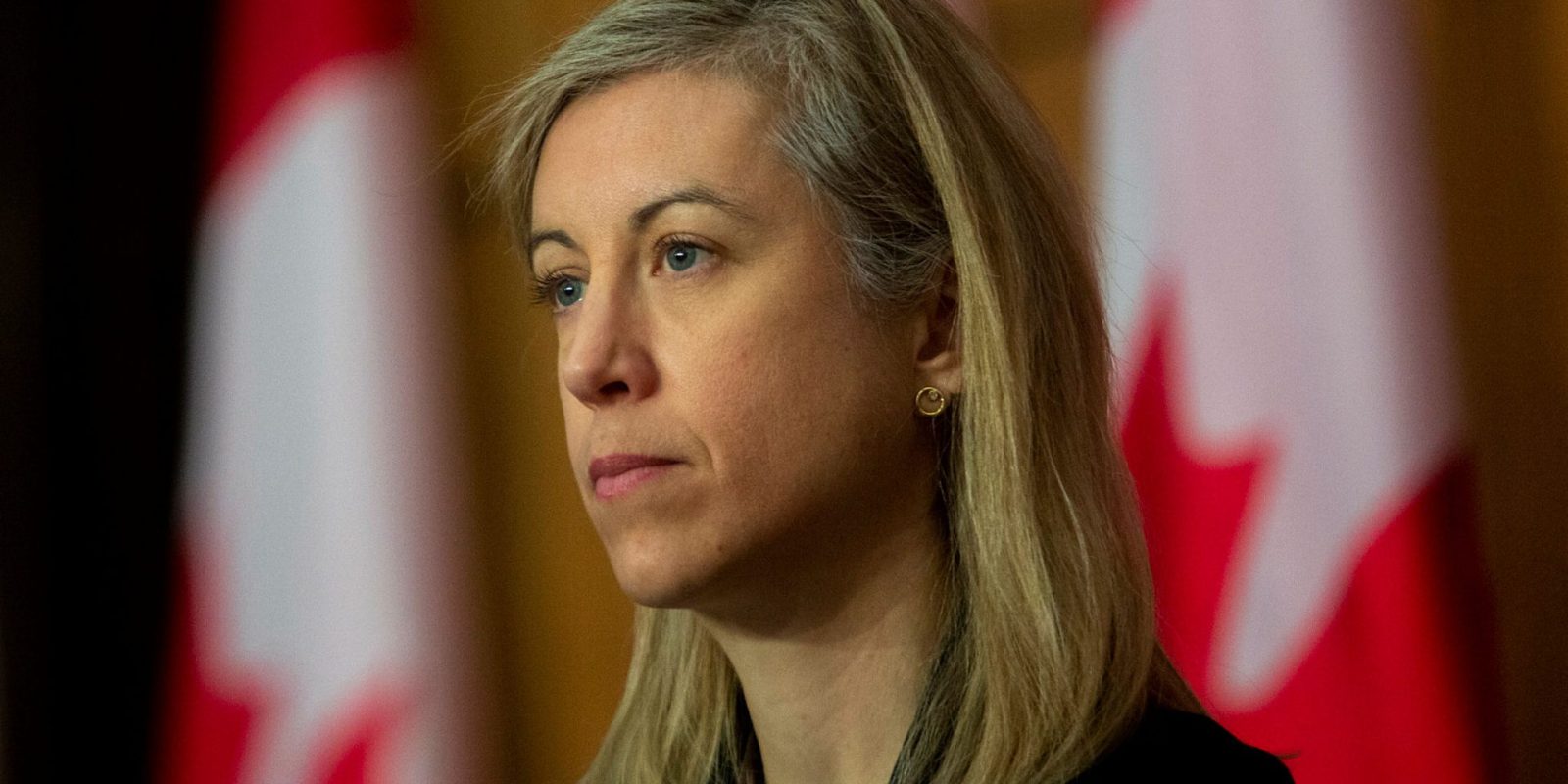 Politics This Morning: Fox, Sabia face Qs on McKinsey - The Hill Times