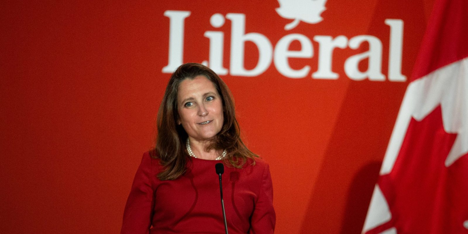 Democracy Watch’s Duff Conacher says $3,450 political donation cap ...