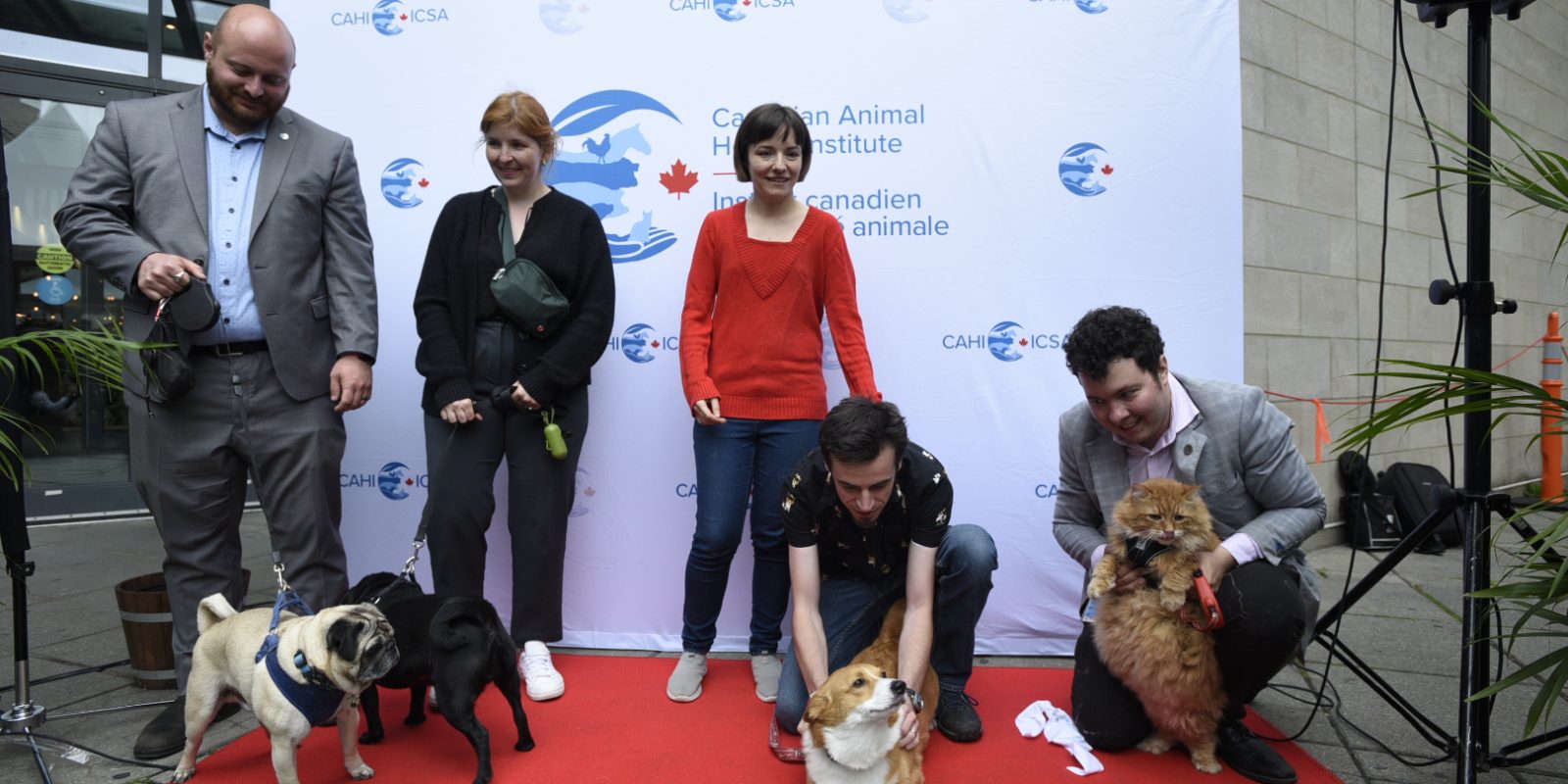 Grrr-rit's Walnut, Tabasco the Tabby, and Bernard the Duck named 2024’s ...