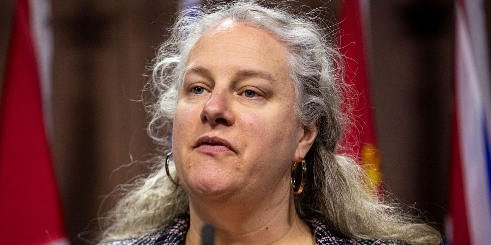 Defence contractors are 'a giant vampire sucking billions of taxpayer ...