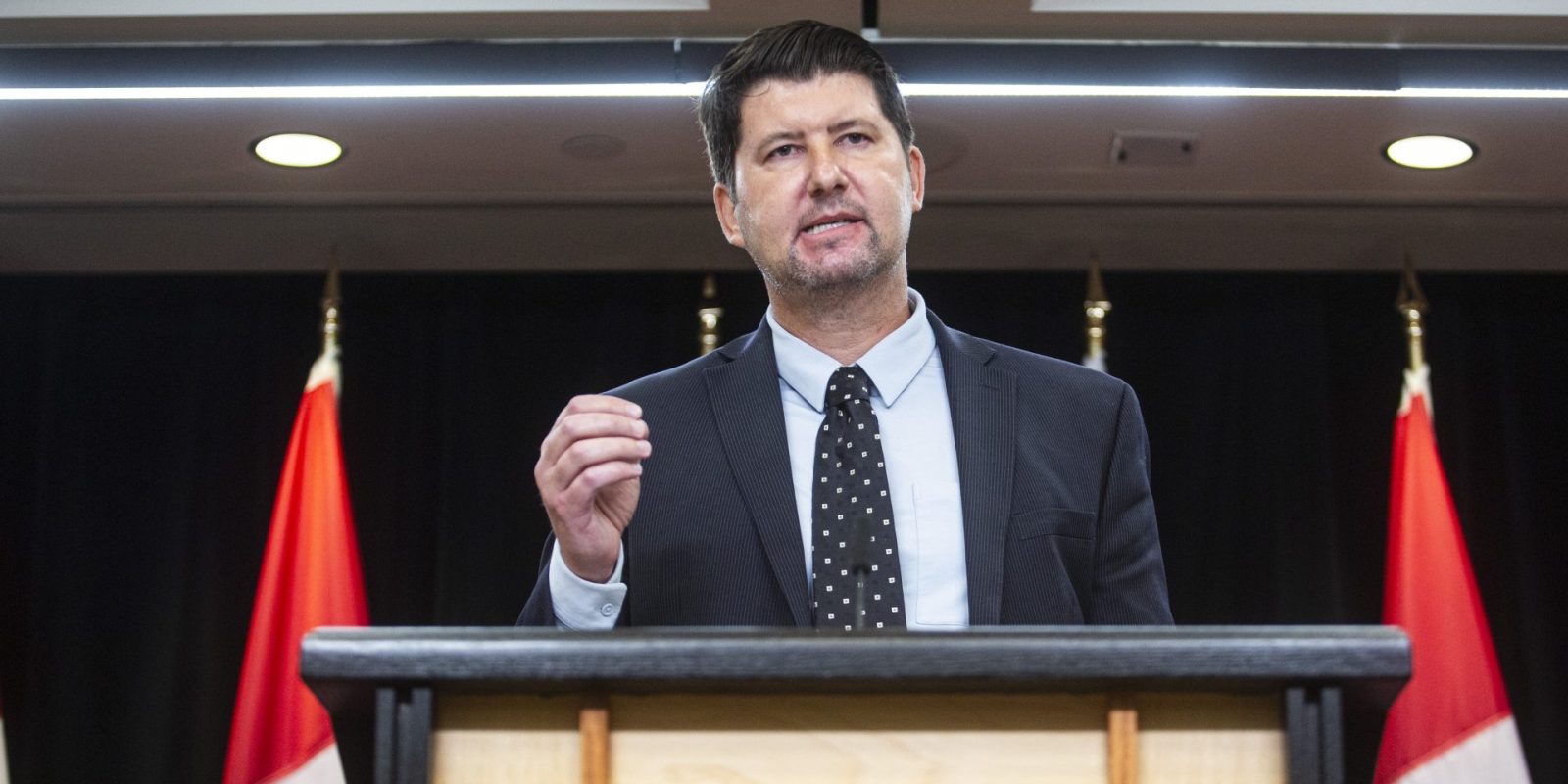 'We can no longer sustain Band-Aid solutions': watchdog calls for urgent changes to federal ...